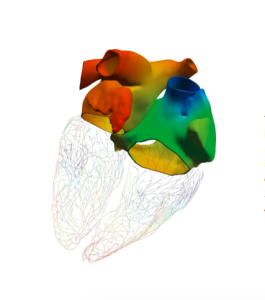 Il Living Heart Project entra in una nuova fase - Sanità Digitale